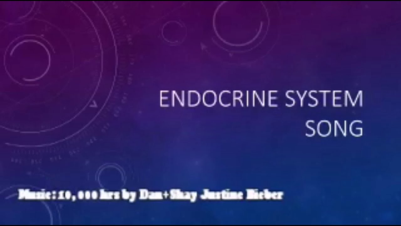 Endocrine System Song - YouTube