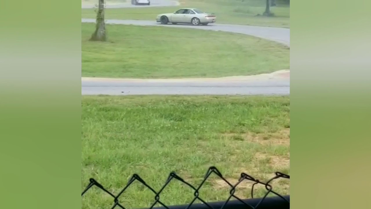 June 2019 Midpond footage - YouTube