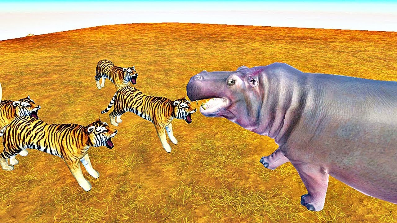 HIPPO vs TIGERS | animals fighting | animal revolt battle simulator ...