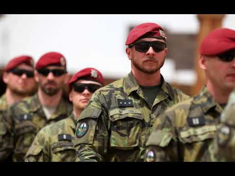 Военные Чехии примут участие в параде ко Дню Независимости.