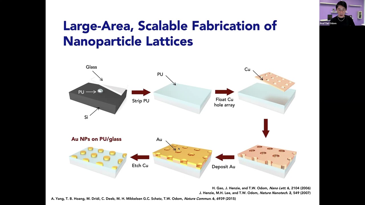 Plasmonic Nanoparticle Lattices as an Expansive Meta-Optics Platform ...