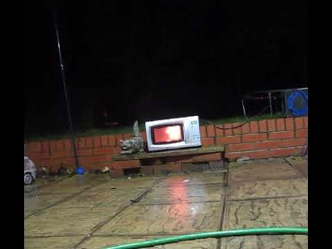 Microwave Explosion - YouTube