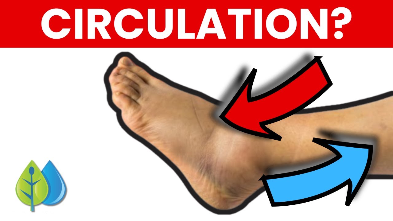 6 Easiest Exercises To Instantly Improve Leg Circulation - YouTube
