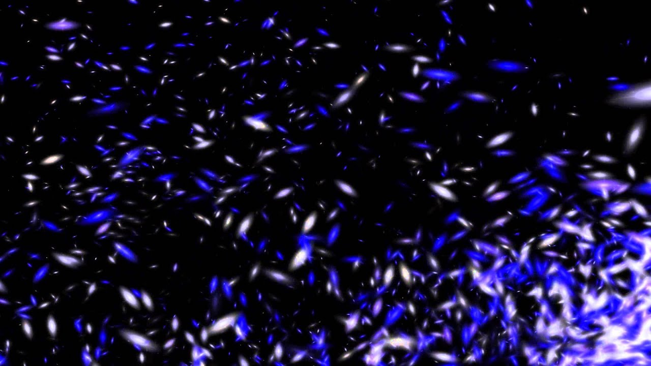 Sparkles Multicolor Blue Black Background ANIMATION FREE FOOTAGE HD ...