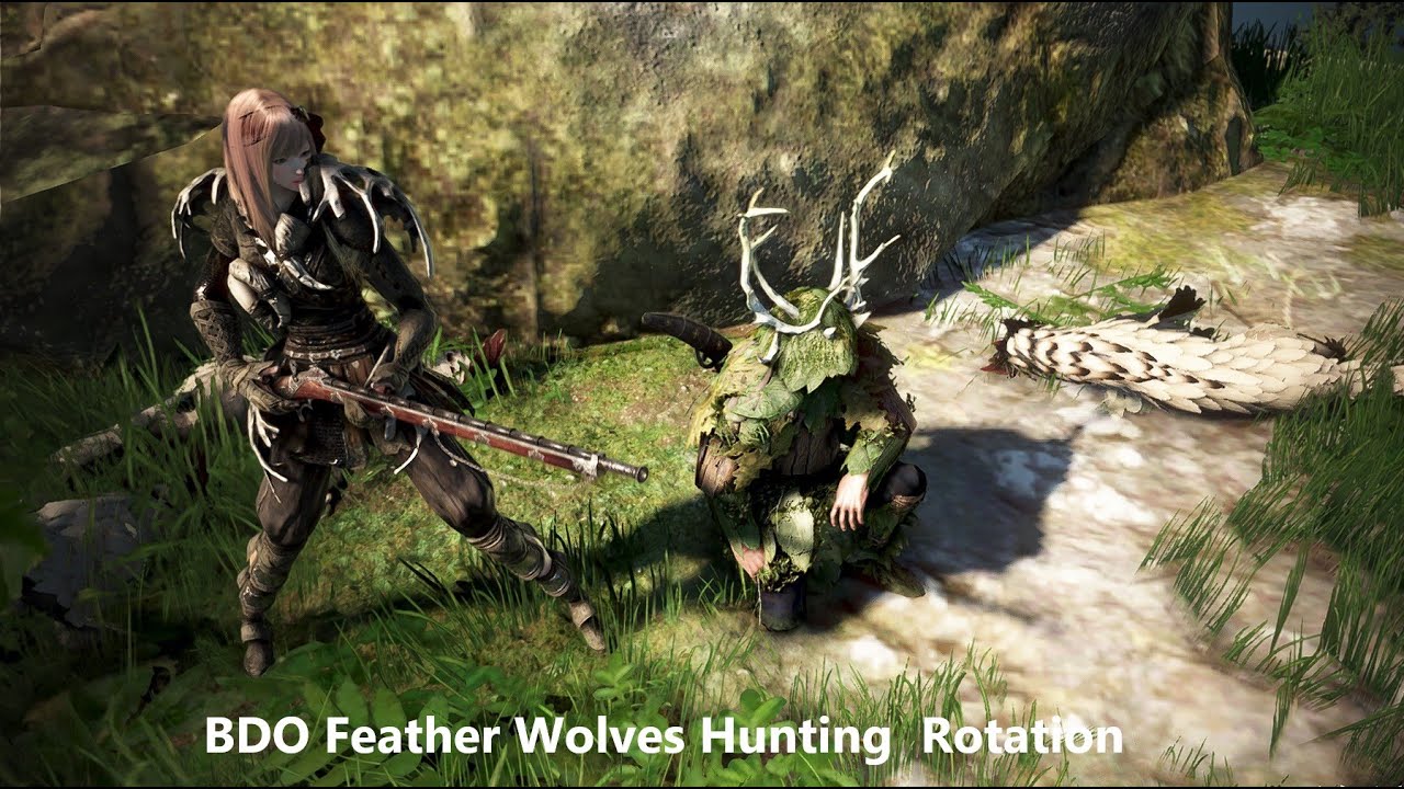 BDO Hunting - Feather Wolves Rotation - 537~ Kills/hr - Ranger - YouTube
