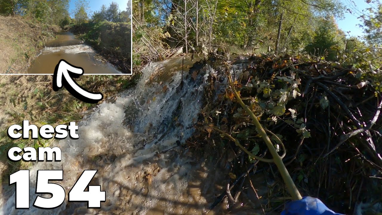 Manual Beaver Dam Removal No.154 - Chest Cam - Lots Of Work - YouTube