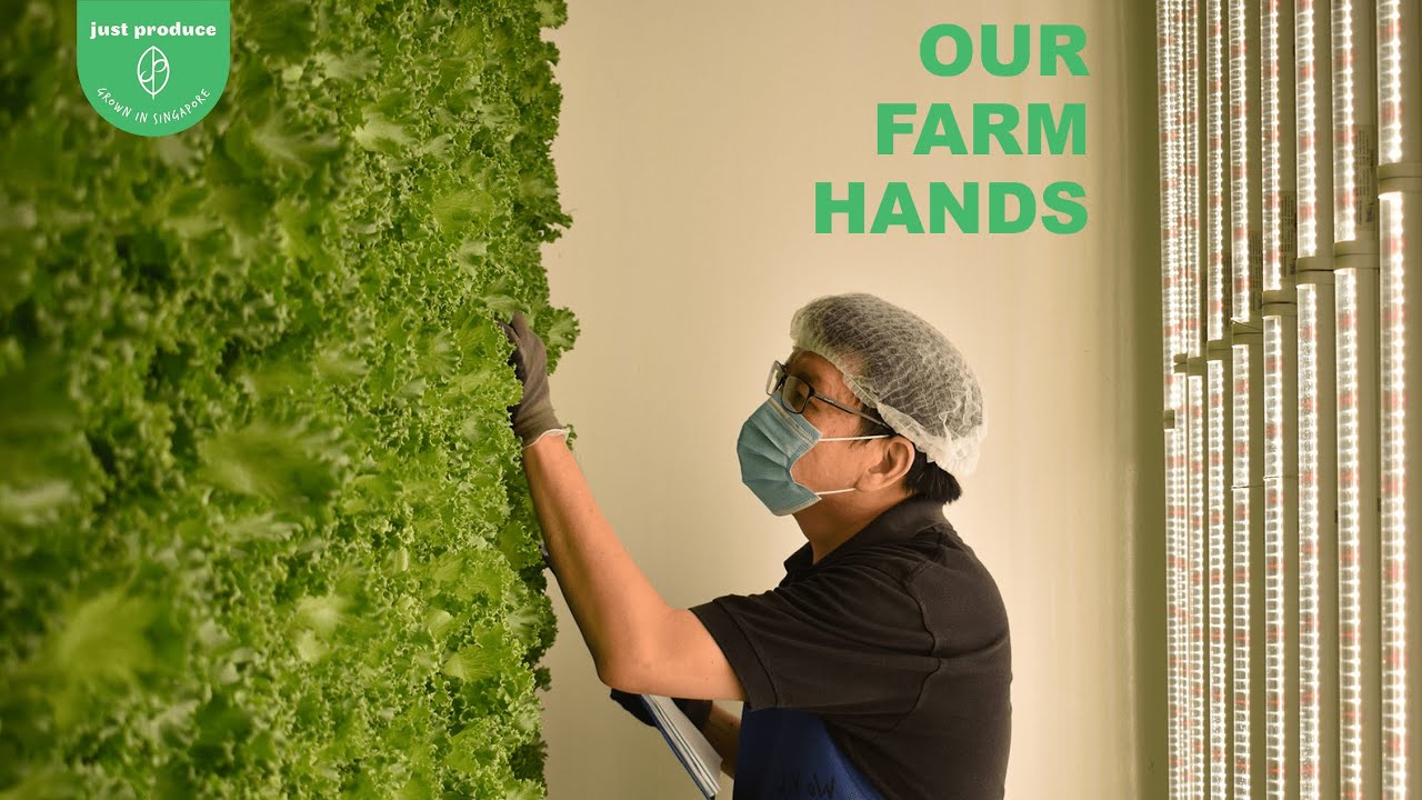 Our Farm Hands - YouTube