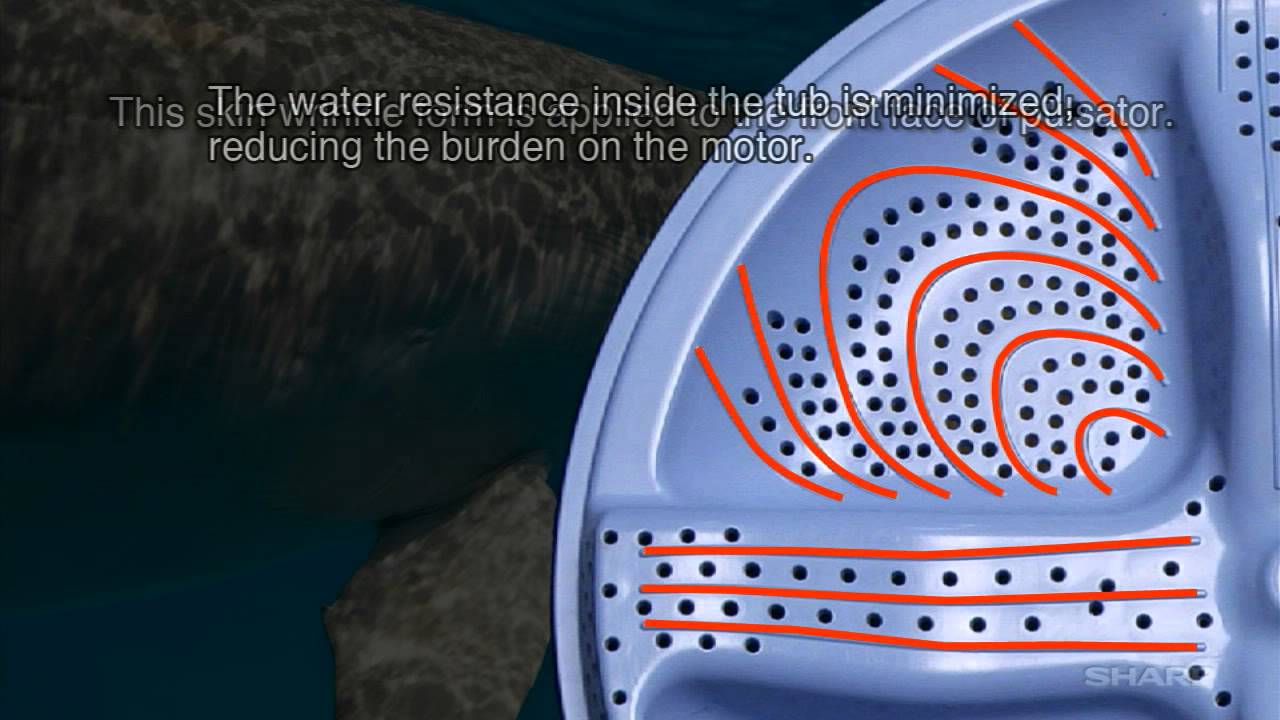 Technology Applying Dolphin Tail Fin and Skin Wrinkle Forms Pulsator ...