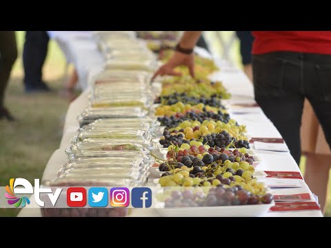 METİN TÜRKER: TÜRKİYE ÜZÜM İHRACATINDA DÜNYA BİRİNCİSİ