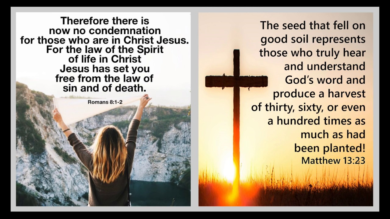 Matthew 13 1 9 18 23 Sermon For 6th Sunday After Pentecost 2020 matthew-13-1-9-18-23-sermon-for-6th-sunday-after-pentecost-2020