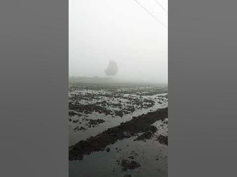 khet mein Pani chal raha hai - YouTube