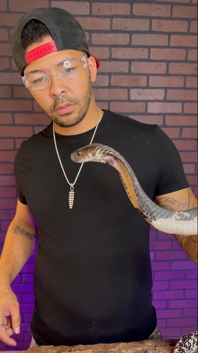 Cobra Spits VENOM! - YouTube