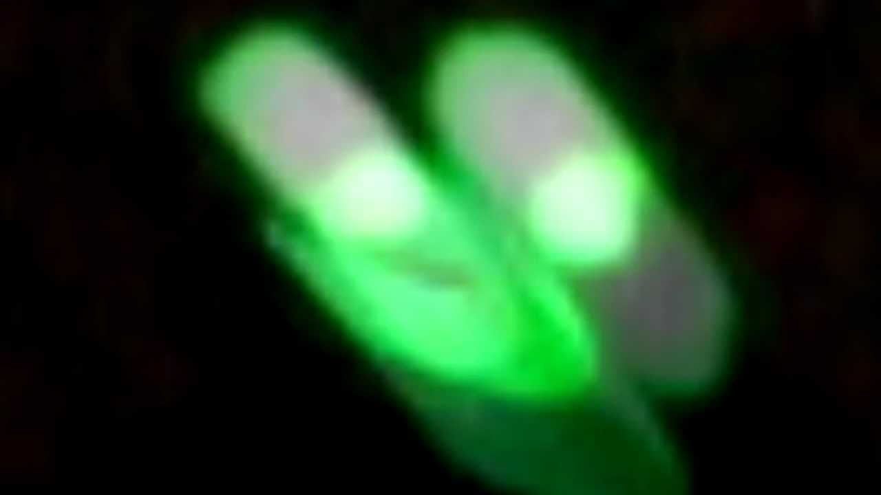 DUFFA Glow-timate - night-time ultimate frisbee - YouTube