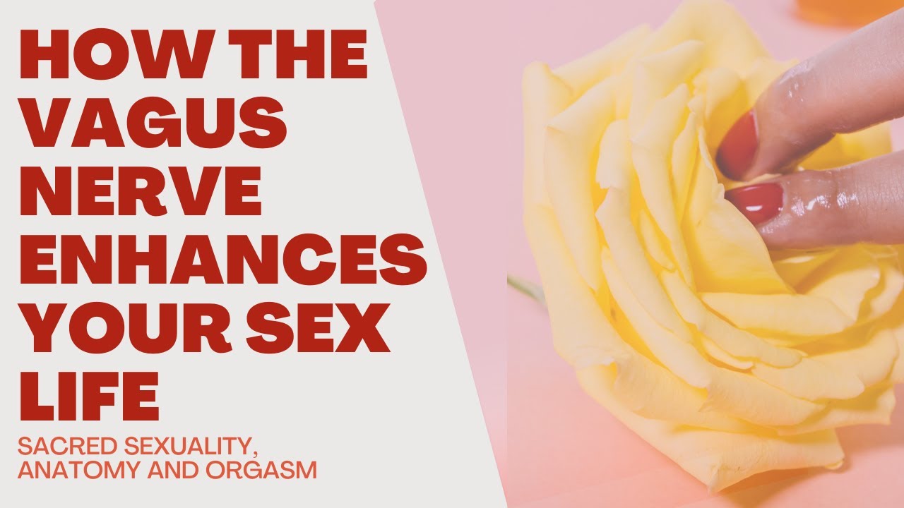 How The Vagus Nerve Can Enhance Your Sex Life Anatomy Moaning And Our Sacred Sexuality Youtube
