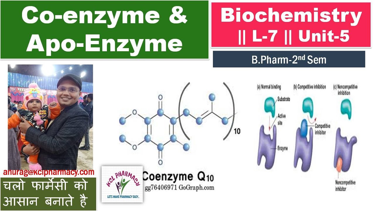 Biochemistry Enzyme Apoenzyme at Arthur Snipes blog