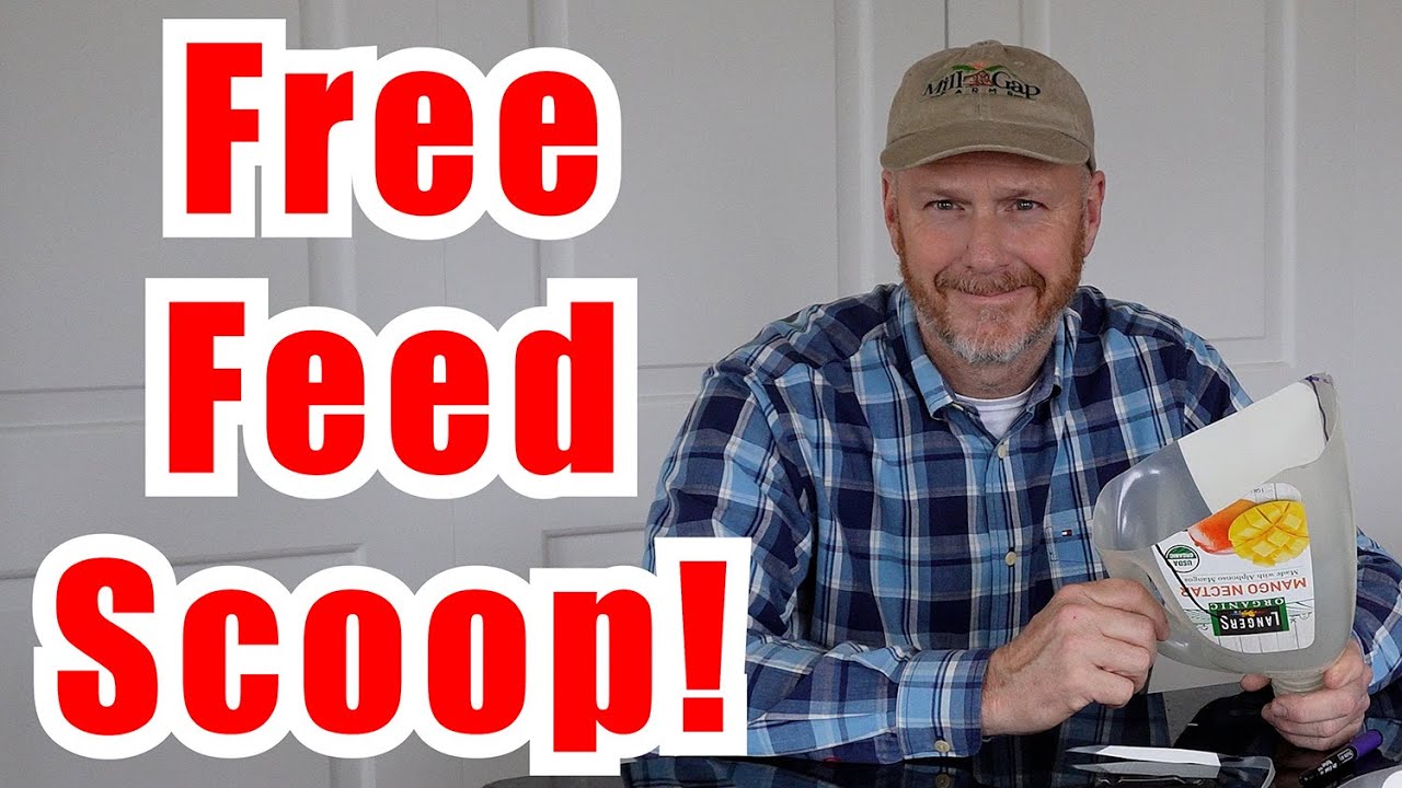 Make a Free Feed Scoop - YouTube