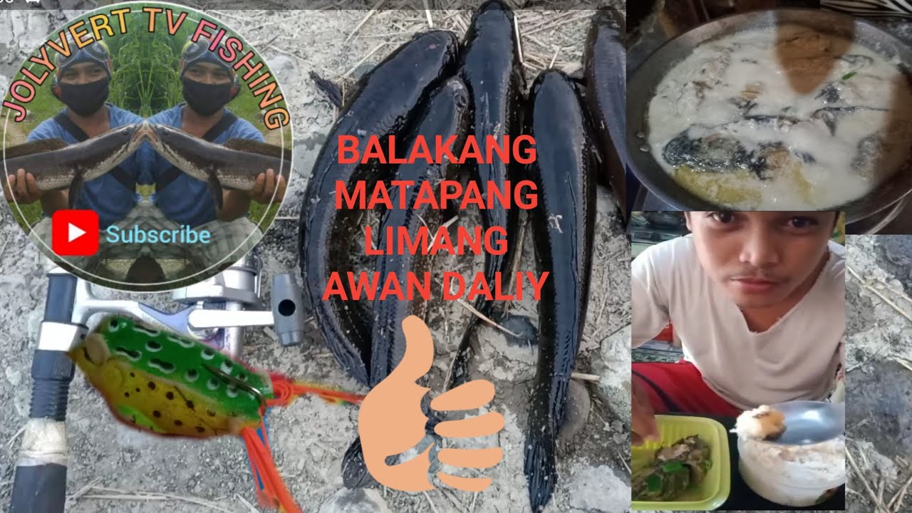 Urban philippines EP-6 FISHING DALAG IN BUTUAN CITY PALAKA ON ACTION 5 ...