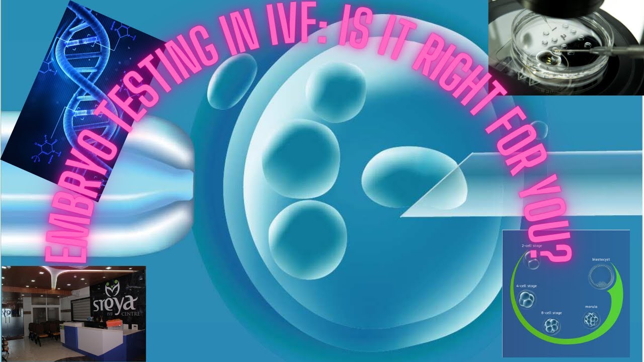 Embryo Testing in IVF: A Step by Step Guide#infertility #ivf #pregnancy ...