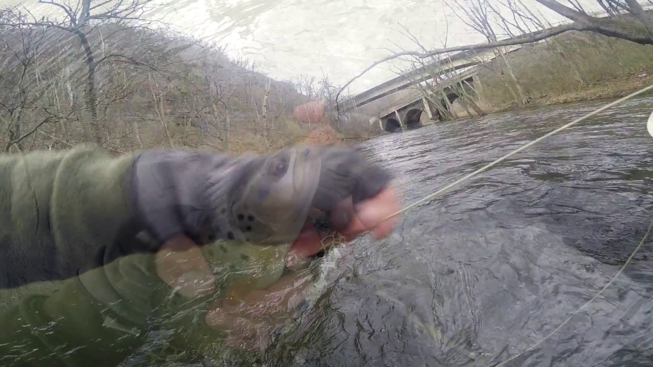 Early Spring Fly Fishing in Pennsylvania 2017 2HD - YouTube
