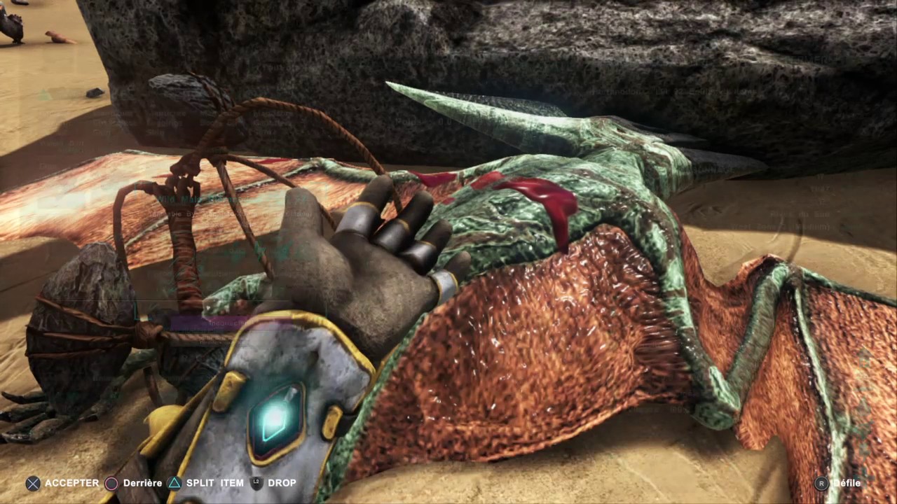Trucs et Astuce #14 : COMMENT TAMER UN PTERA THL FACILEMENT ARK ...