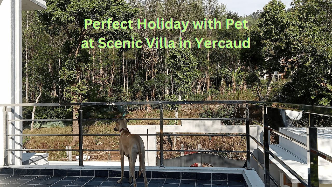 Looking for A Perfect Holiday With Your Pet? Don't Miss This Beautiful ...