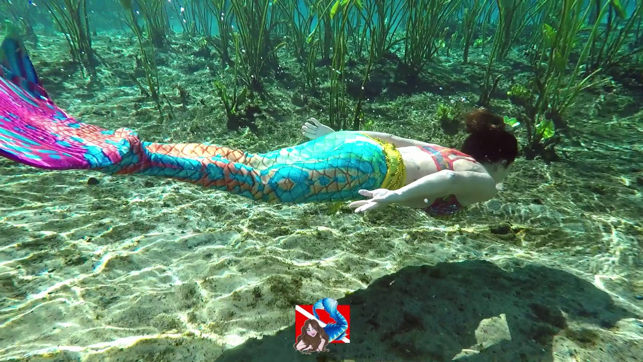 Mermaid Quick Swim at Alexander Springs - FinFolk Gobi Mermaid Tail ...