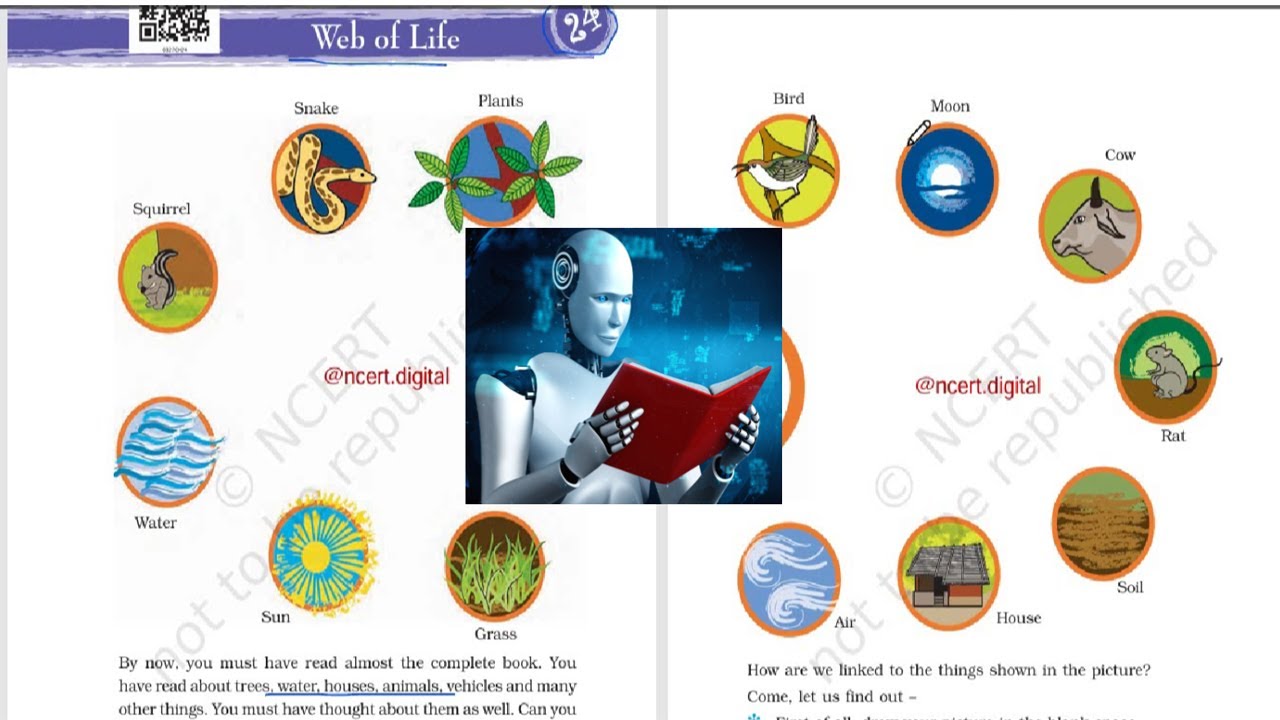Web of Life | Class 3 EVS | Looking Around : NCERT Chapter books read ...