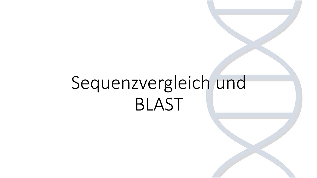 Grundlagen der Bioinformatik 3 - Sequenzvergleich und BLAST - YouTube