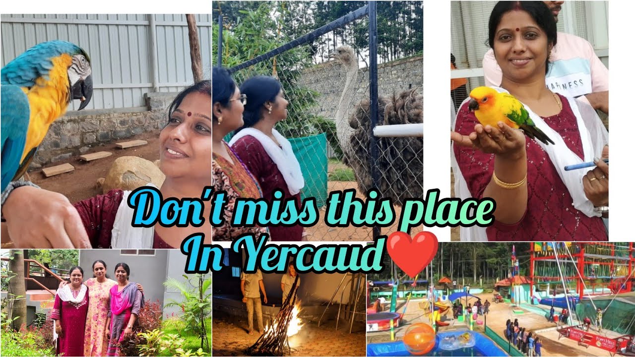 Yercaud Servarayan temple || Adventure park ||Peeku park || YERCAUD ...