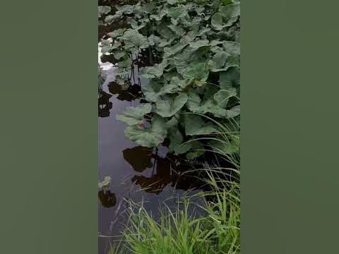 сказка без счастливого конца.. - YouTube