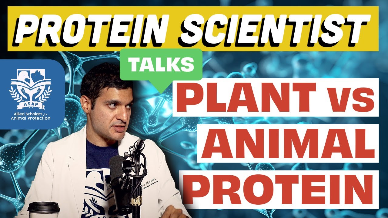 Protein Scientist Talks About Plant Vs Animal Protein - YouTube