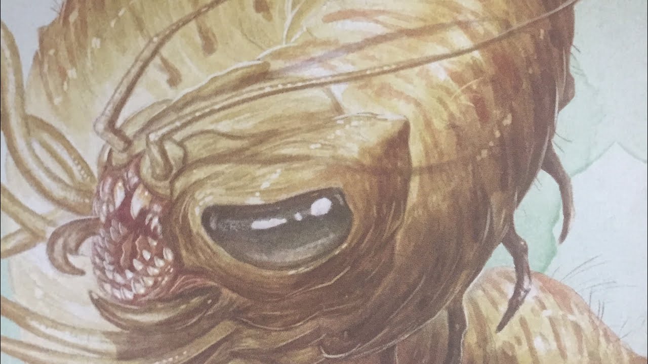 D&D: Carrion Crawler 5E - YouTube