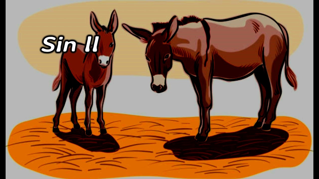 Los dos burros- fábula más enseñanza (sikuris) - YouTube