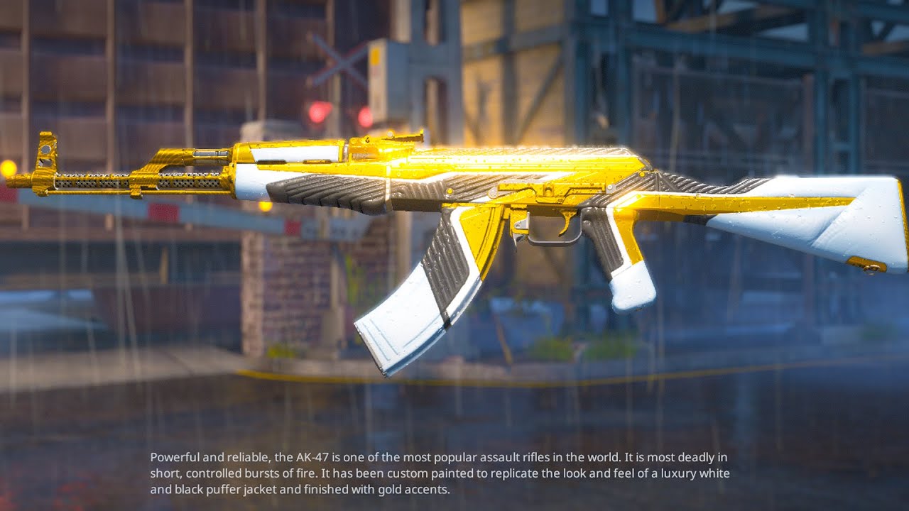 HOLY SHIT!! THIS NEW AK47 IS CRAZYY🔥🔥- CS2 AK47 THE OLIGARCH Ingame Showcase -CS2 Genesis ...