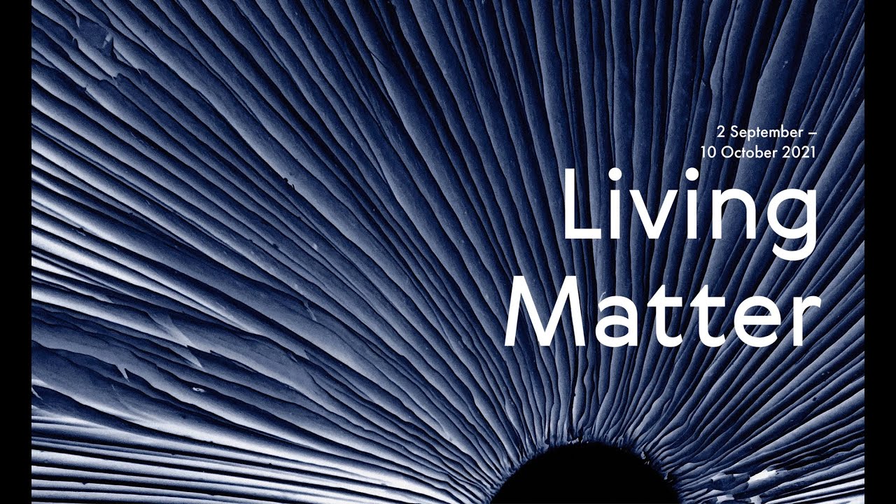 Living Matter / Exhibition Tour / New Tretyakov gallery - YouTube