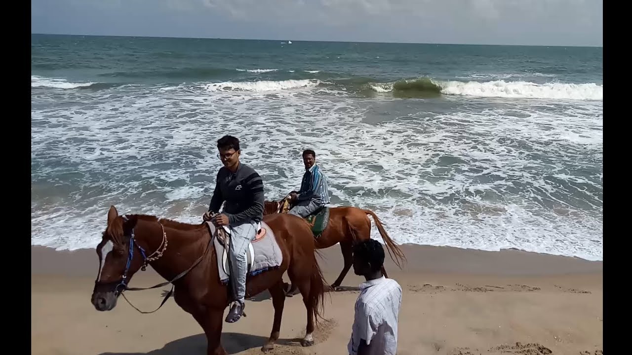 Horse Riding at Marina Beach in Chennai in India #indianhorse # ...