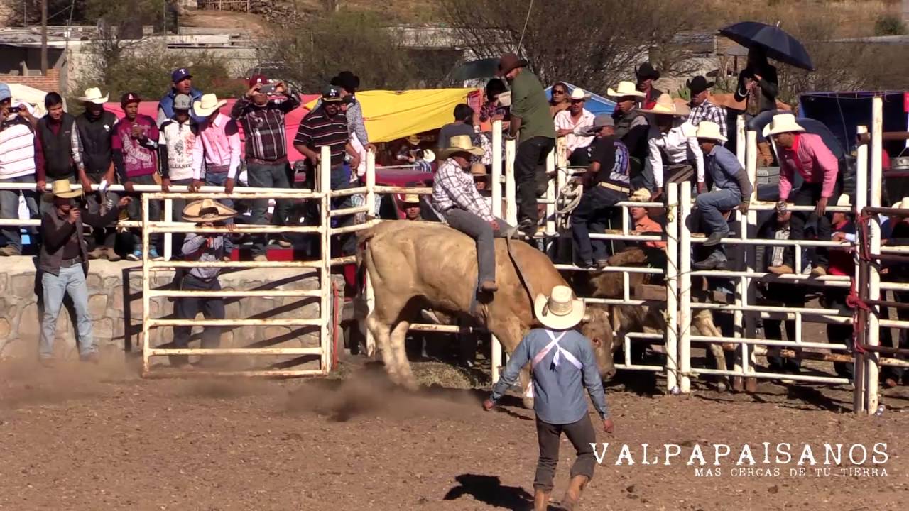 Fiestas Patronales del Xoconoxtle 2016_Valparaíso, Zac. - YouTube