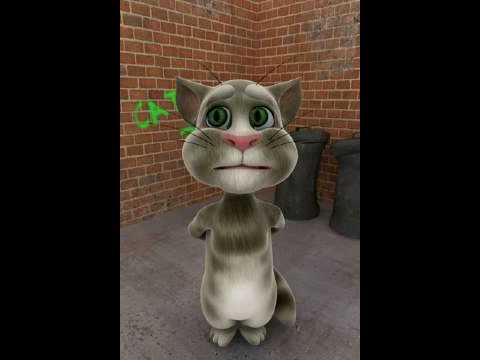 Talking Tom- Eye of the Tiger - YouTube