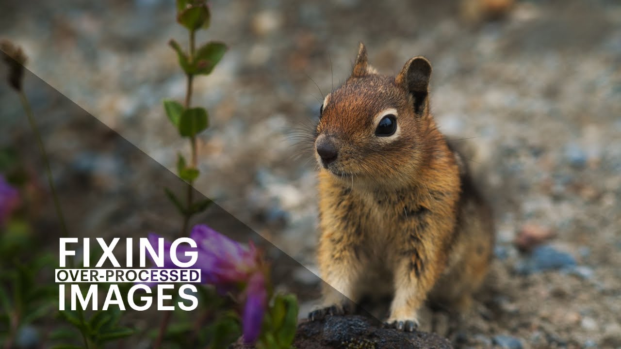 Luminar Quick Tips: Fixing over-processed images - YouTube