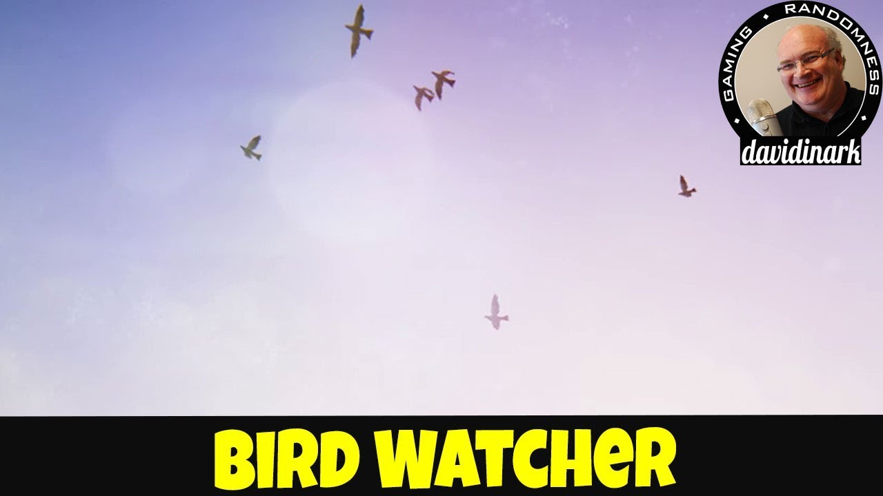 Bird Watcher - Playthrough Full Game - YouTube