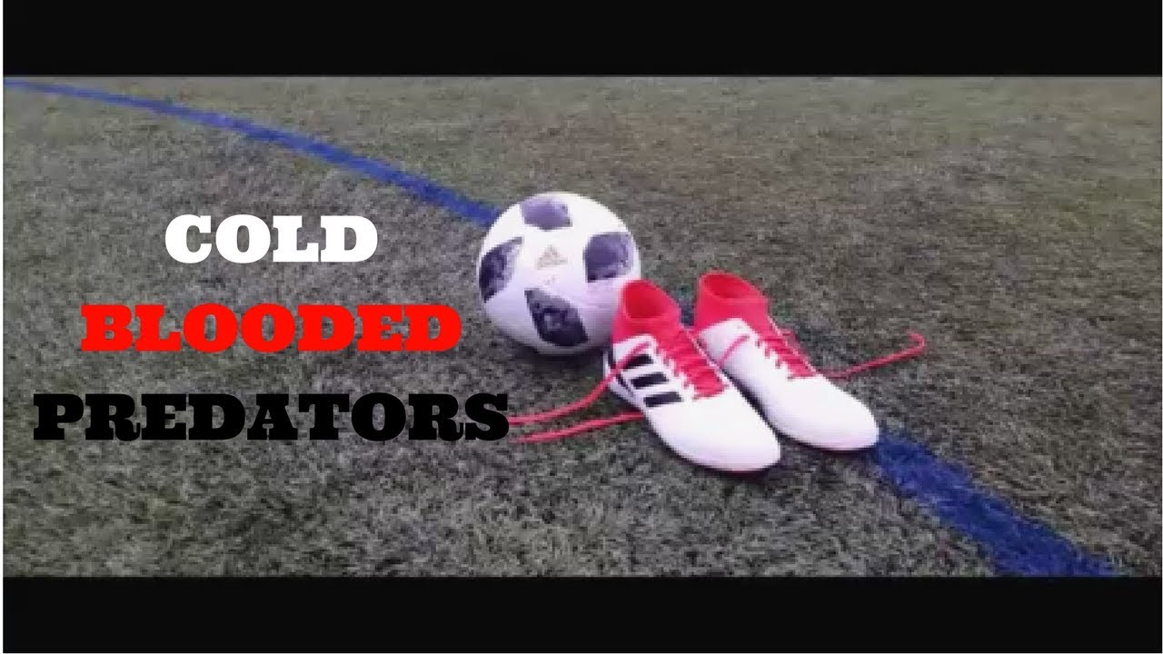 UNBOXING AND REVIEWING MY FIRST EVER ADIDAS PREDATOR BOOTS!!! - YouTube