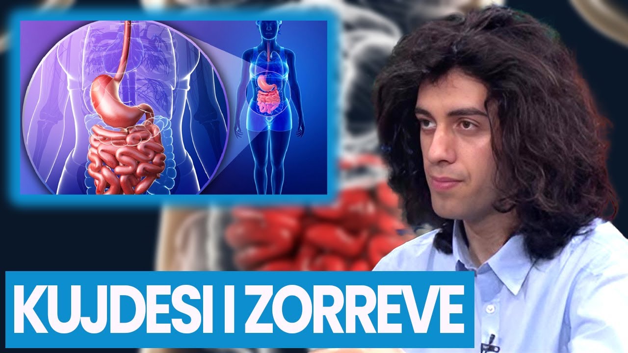 ÇELËSI i SHËNDETIT të pastër – Zorrët dhe ndikimi i tyre JETIK ...