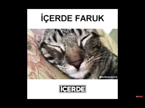 İcerde faruk
