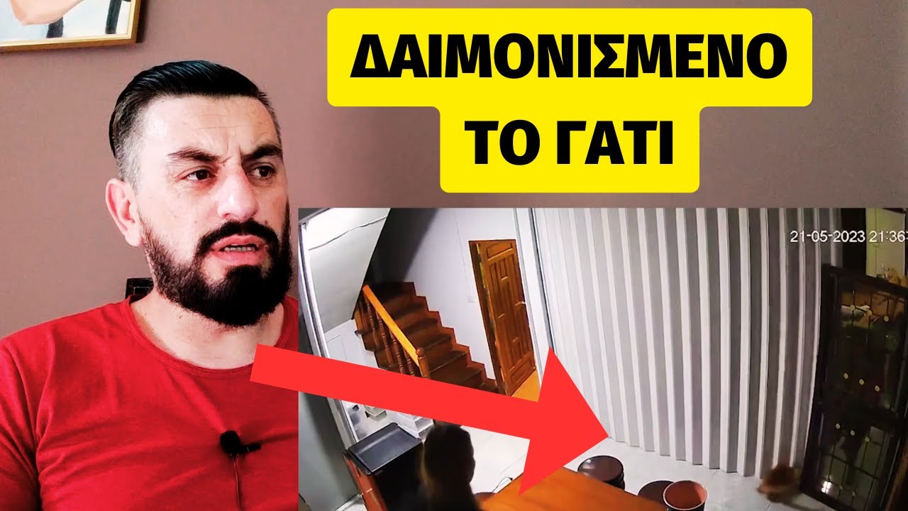 ΤΡΕΛΑΘΗΚΕ και ΕΠΙΤΕΘΗΚΕ στον ιδιοκτήτη χωρίς κανένα λόγο - YouTube