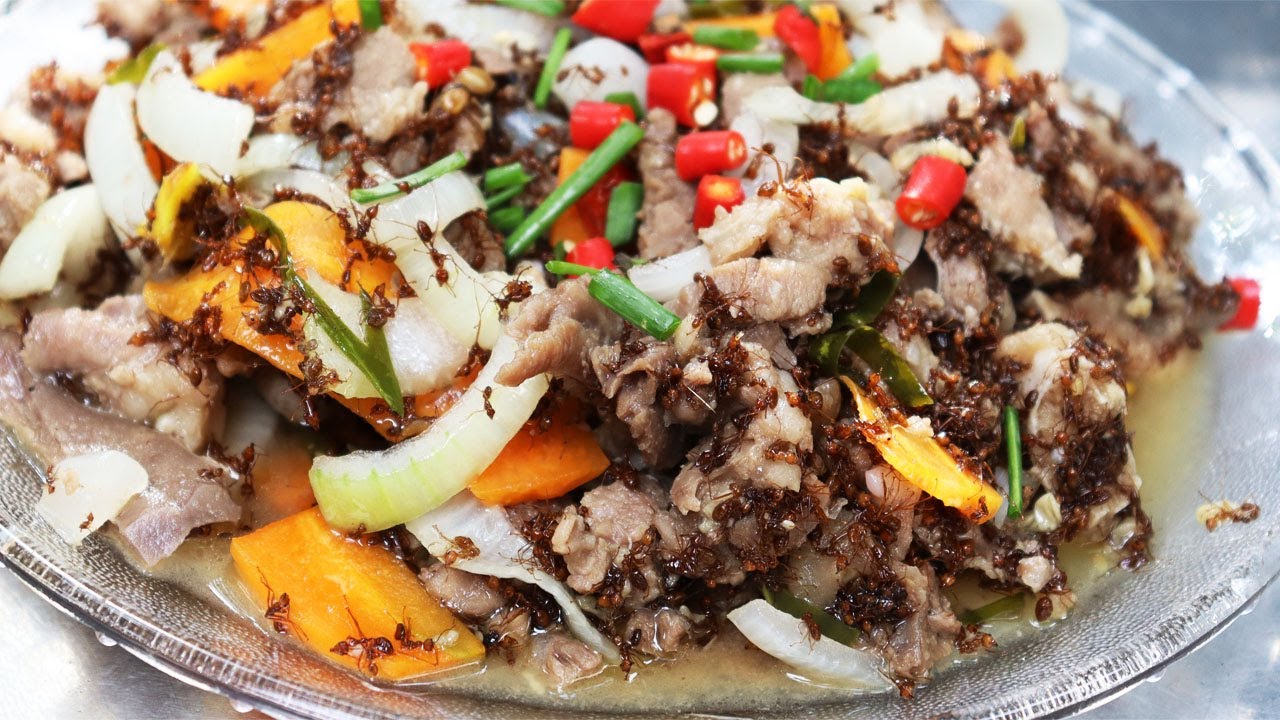 Why you don’t eat Red Ants?: How to Cook Red Ants with Pork Tongue-Red ...
