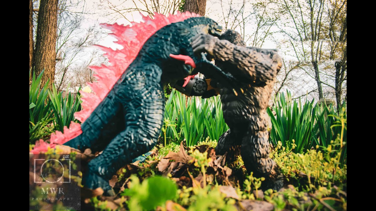 Godzilla X Kong Spring Time on Skull Island - YouTube