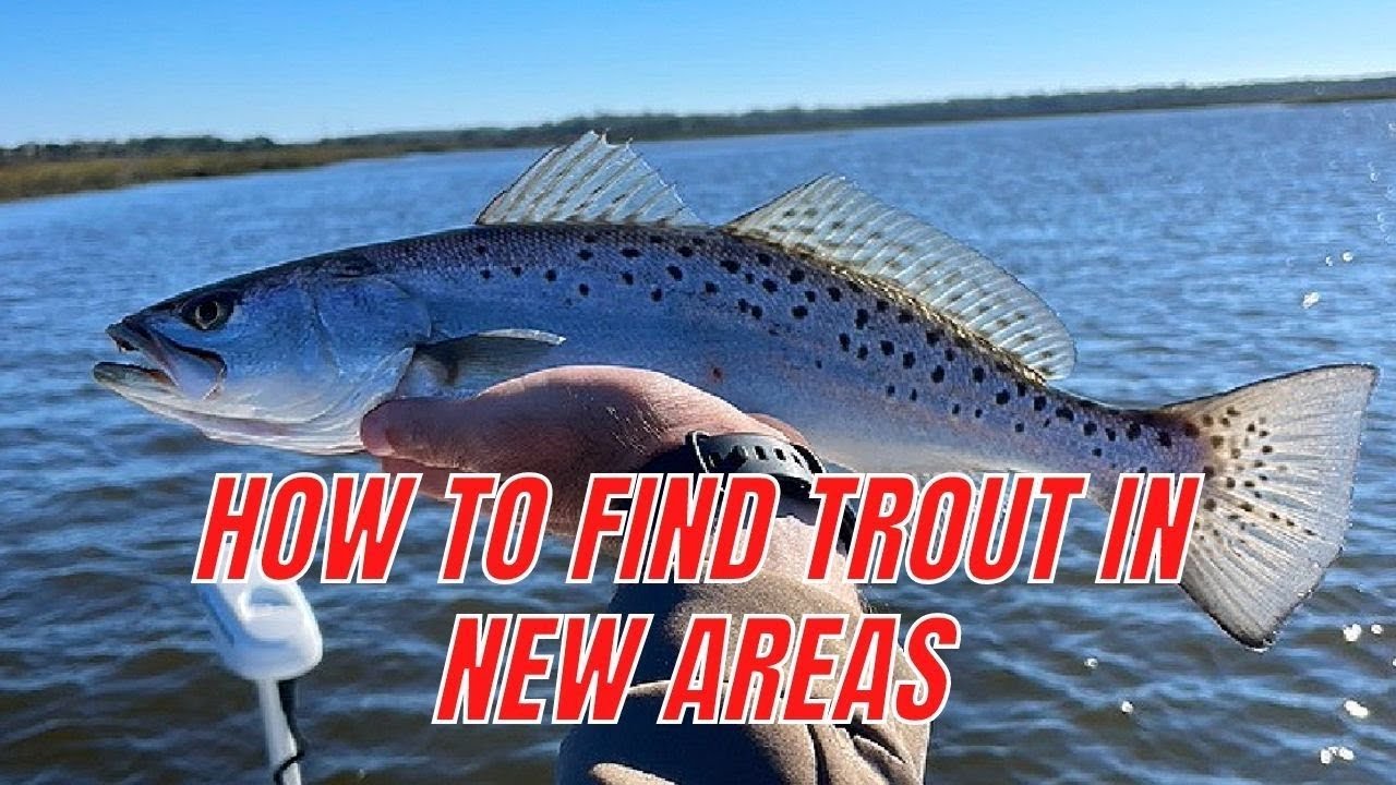 How To Find Trout In A New Area [Fishing Report] - YouTube