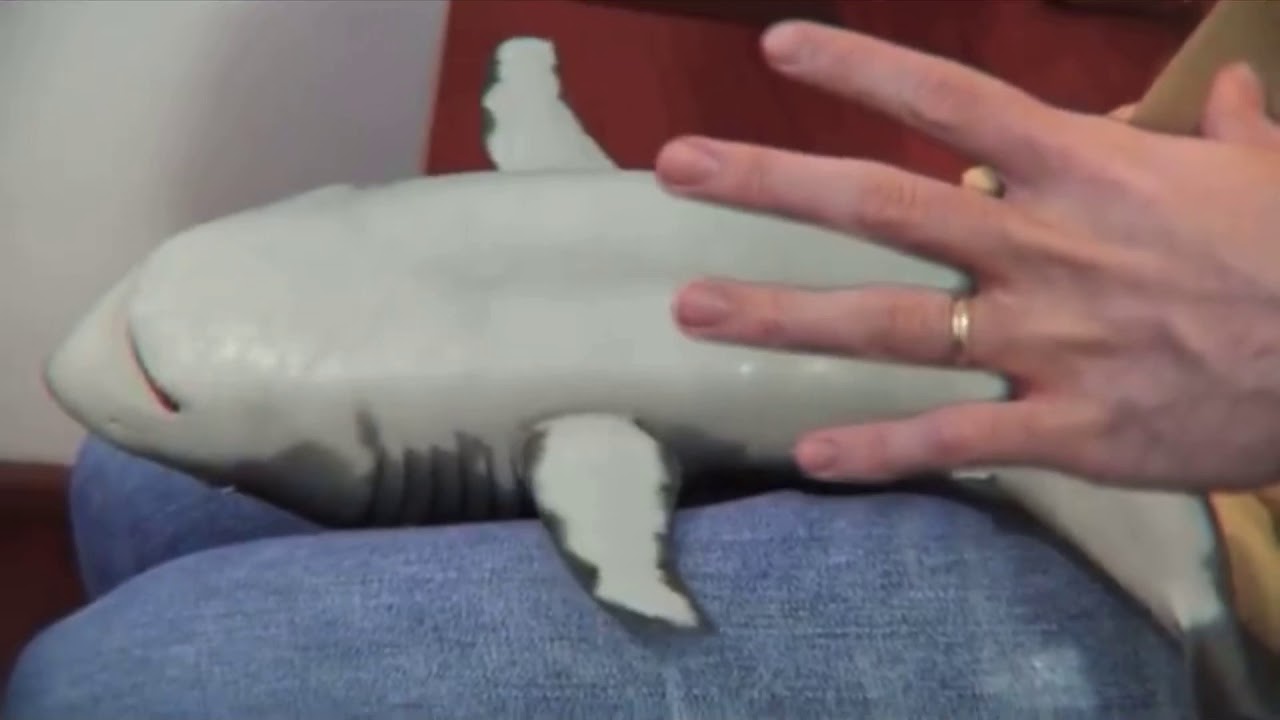 Surprised baby shark - YouTube