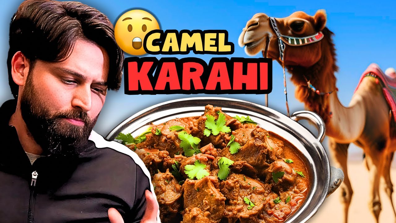 Saudi Arabias Camels Eating World Camel Day | MIŠA PIŠE