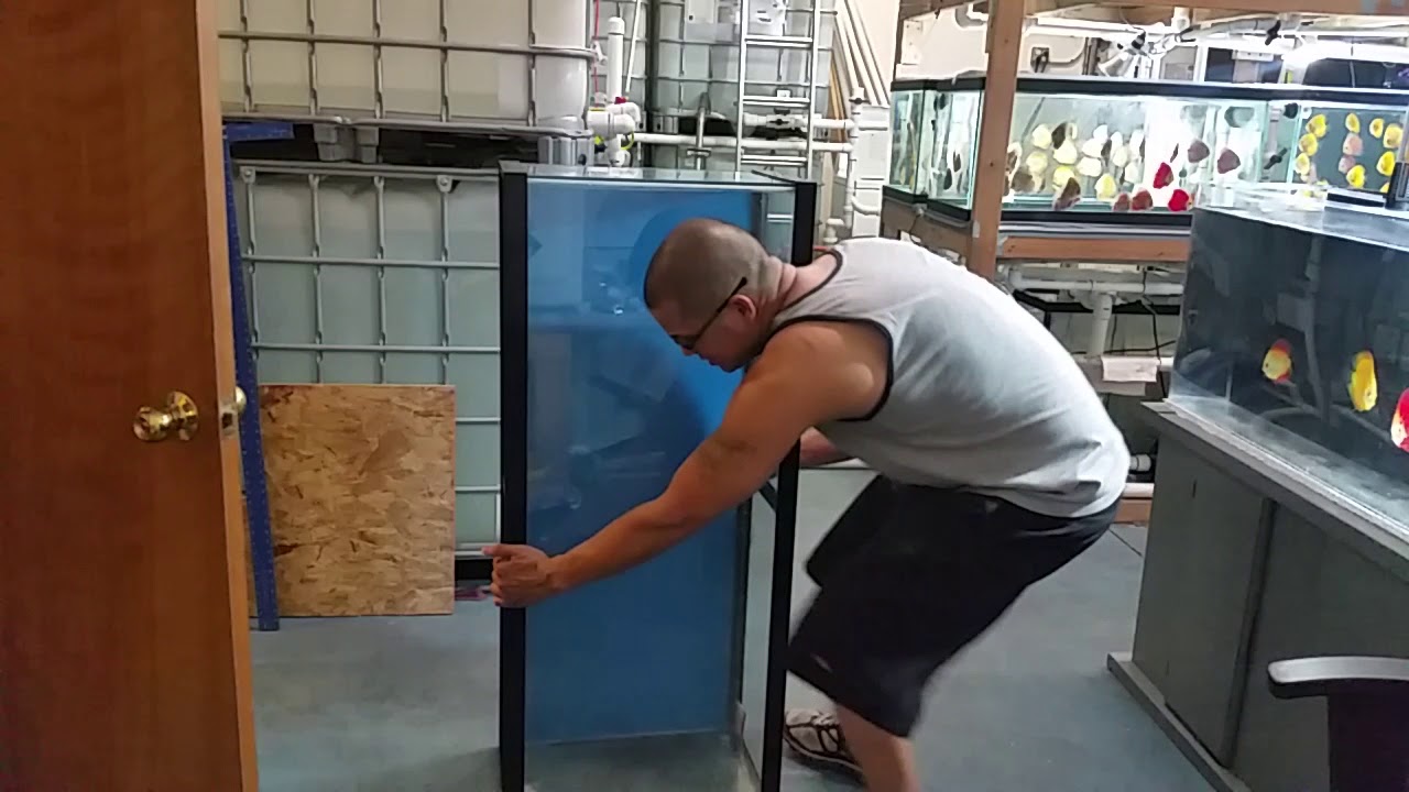 Proper way to lift a 55 gallon fish tank by your self - YouTube